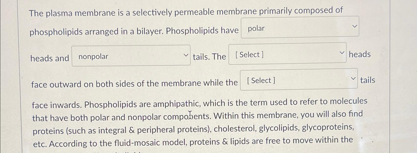 Solved The plasma membrane is a selectively permeable | Chegg.com