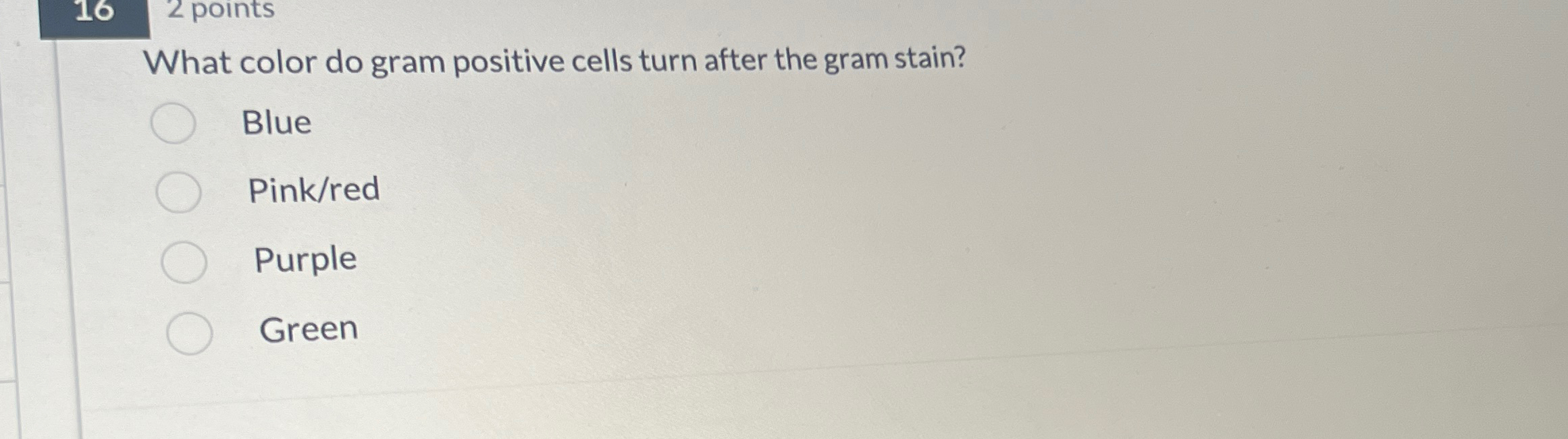 Solved 2 ﻿pointsWhat color do gram positive cells turn after | Chegg.com