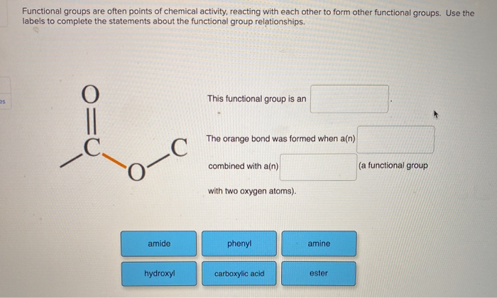 Solved Functional groups are often points of chemical | Chegg.com