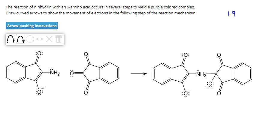 Solved The reaction of ninhydrin with an α-amino acid occurs | Chegg.com