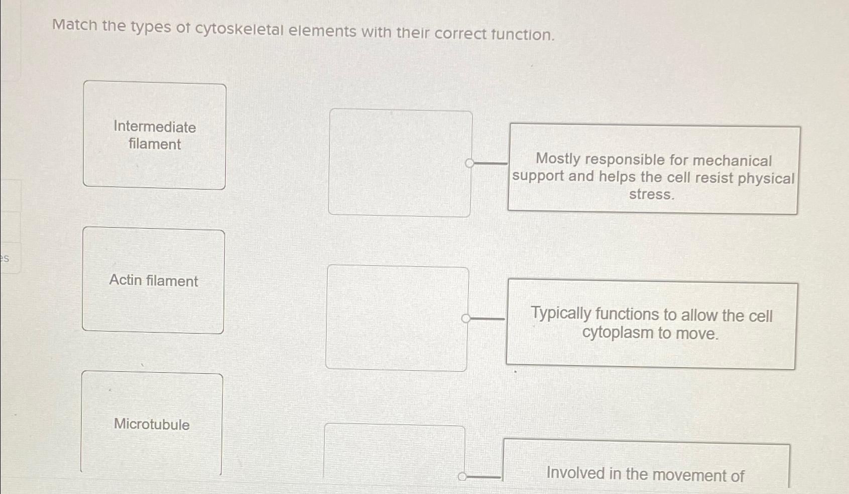 Solved Match The Types Of Cytoskeletal Elements With Their