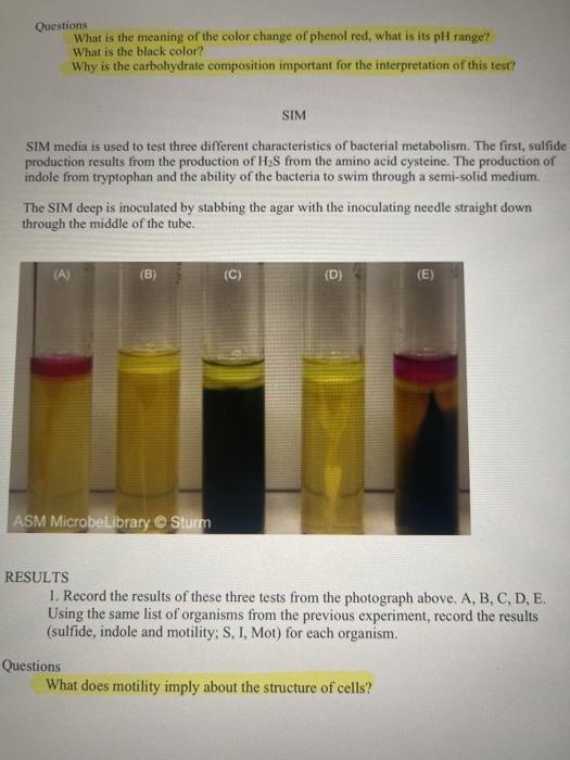 Solved Lab #20 :KIA (Kligler's Iron Agar) and SIM (Sulfide - | Chegg.com