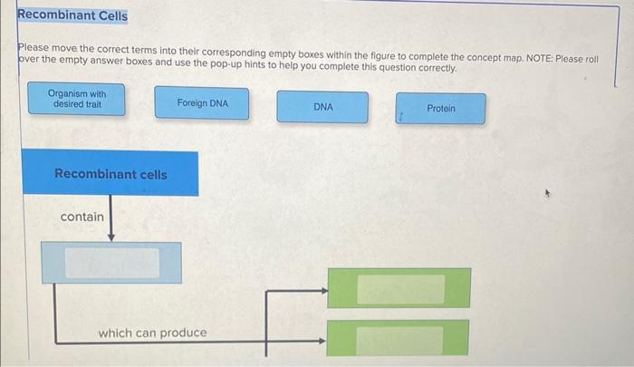 Solved Pease move the correct terms into their corresponding | Chegg.com