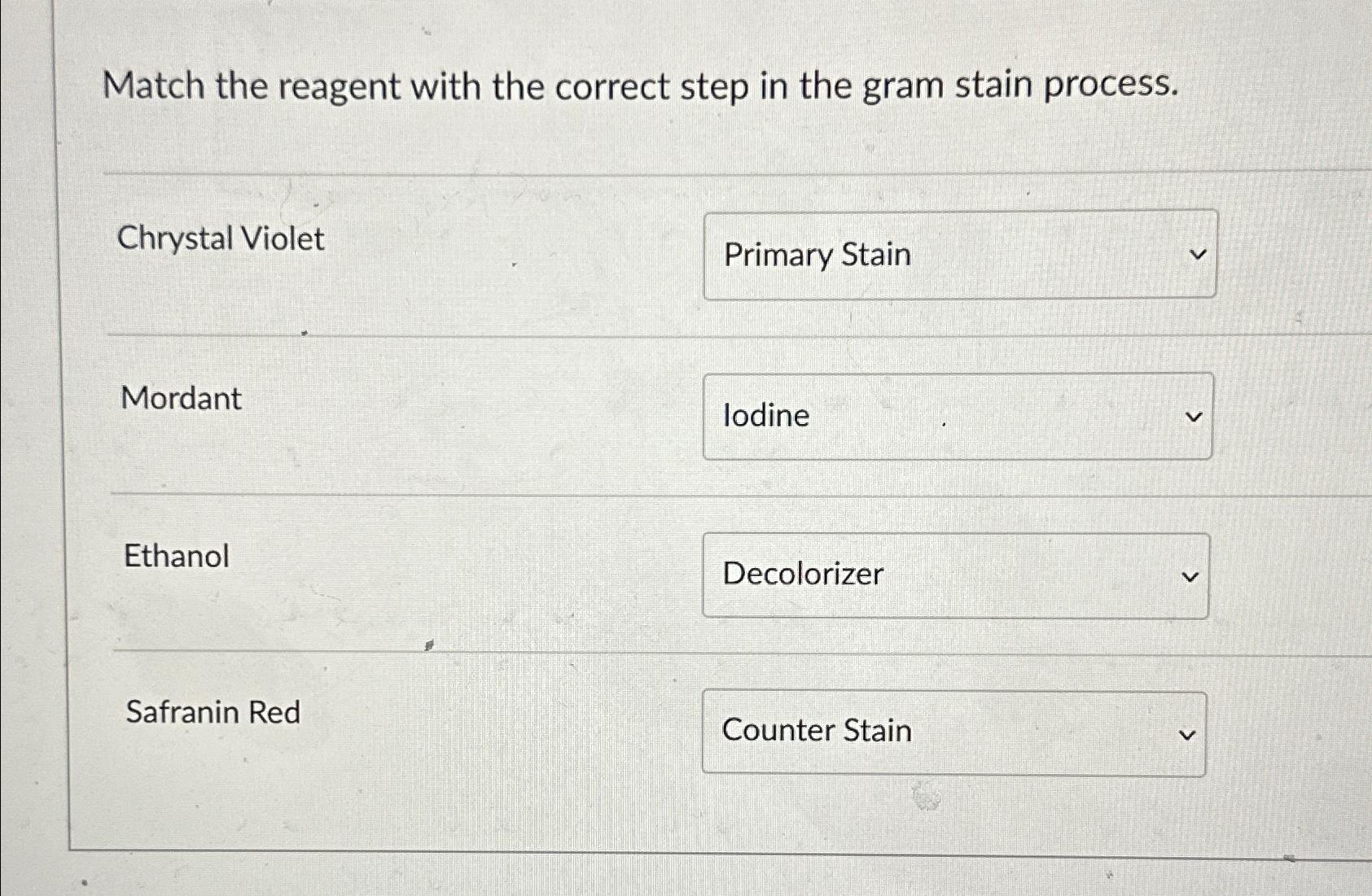 Solved Match the reagent with the correct step in the gram | Chegg.com