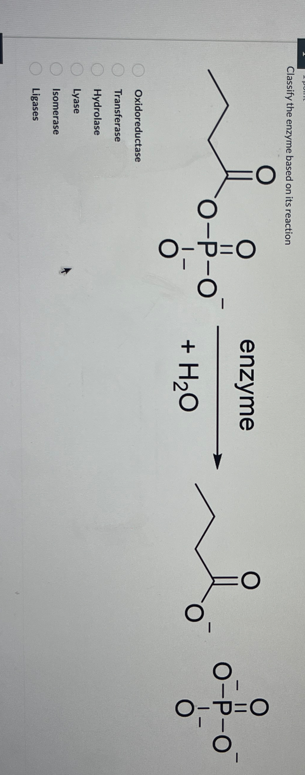Solved Classify the enzyme based on its | Chegg.com