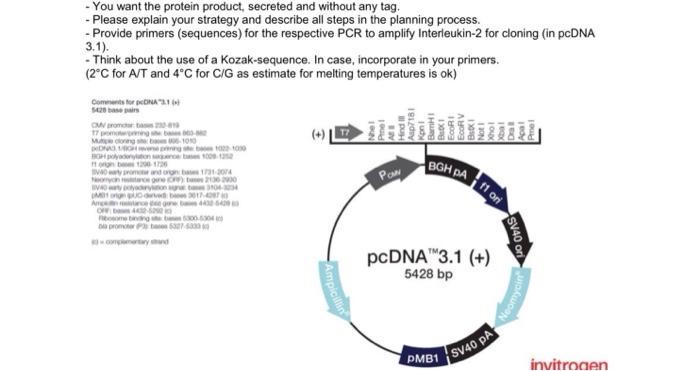 Solved i need to plan the cloning of human interleukin-2 in | Chegg.com