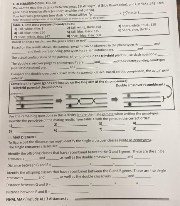 Solved 1. DETERMINING GENE ORDER We want to map the distance | Chegg.com