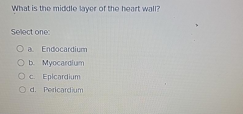 Solved What is the middle layer of the heart wall?Select | Chegg.com