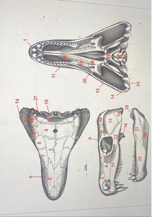 I got some wrong but it doesn't tell me which ones. | Chegg.com