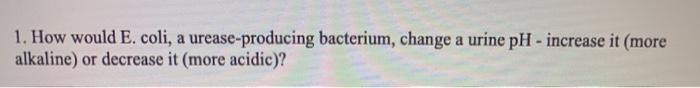 Solved 1. How would E. coli, a urease-producing bacterium, | Chegg.com