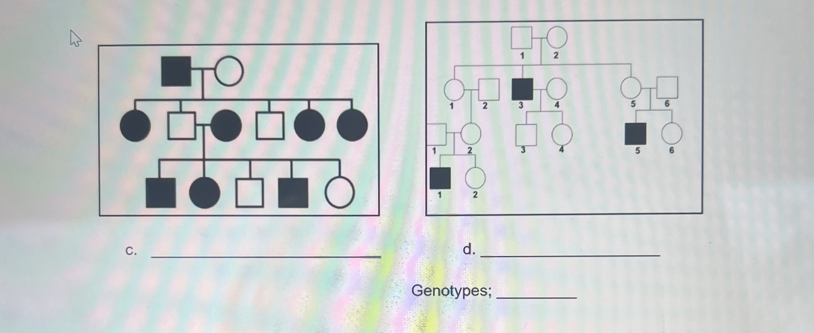 Solved PedigreesDo the following pedigrees show traits | Chegg.com Solved PedigreesDo the following pedigrees show traits | Chegg.com