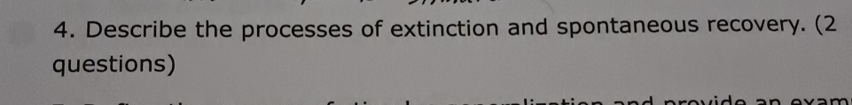 Solved Describe the processes of extinction and spontaneous | Chegg.com