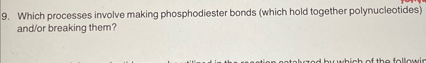 Solved Which processes involve making phosphodiester bonds | Chegg.com