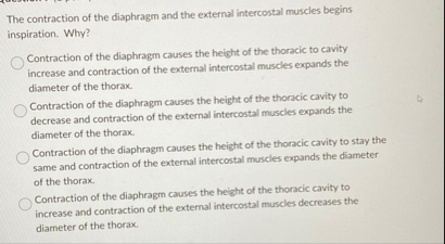 Solved The contraction of the diaphragm and the external | Chegg.com
