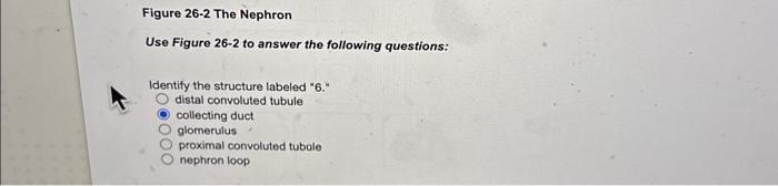 Solved Use Figure 26-2 to answer the following questions: | Chegg.com