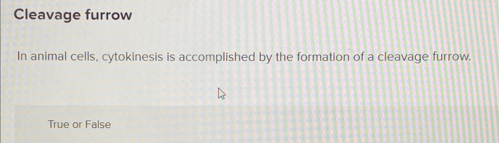 Solved Cleavage furrowIn animal cells, cytokinesis is | Chegg.com