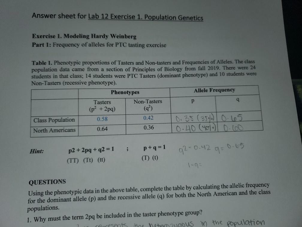Solved Answer sheet for Lab 12 Exercise 1. Population | Chegg.com