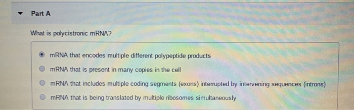 Solved Part A What is polycistronic mRNA? mRNA that encodes | Chegg.com