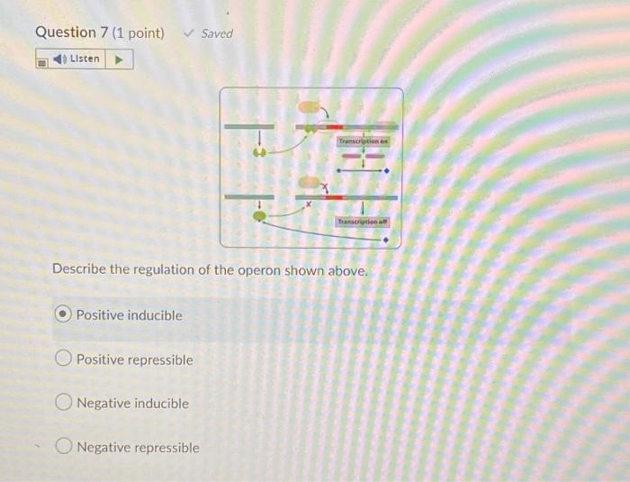 Solved In a positive inducible operon: the regulator protein | Chegg.com