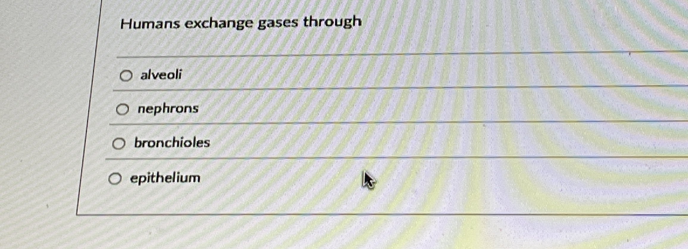 Solved Humans exchange gases | Chegg.com