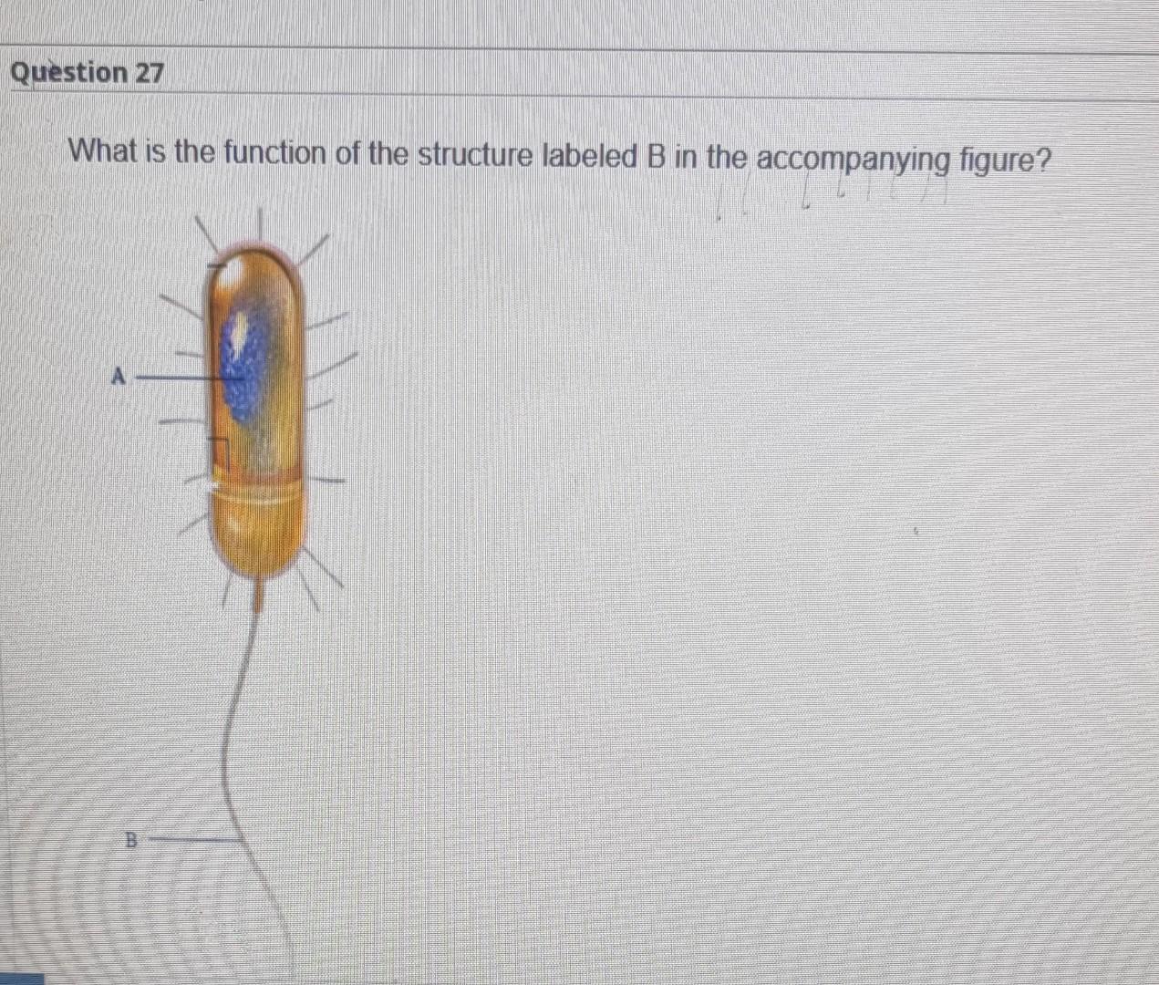 Solved Question 27 What Is The Function Of The Structure Chegg