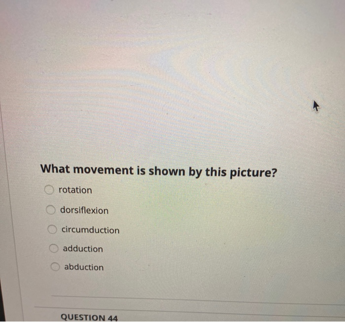 Solved QUESTION 38 Moving your head from side to side as if | Chegg.com
