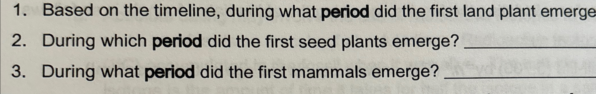 Solved Based on the timeline, during what period did the | Chegg.com