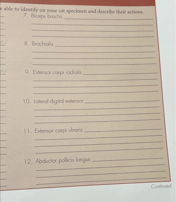 Solved e able to identify on your cat specimen and describe | Chegg.com