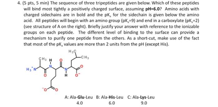 Solved 4. (5 pts, 5 min ) The sequence of three tripeptides | Chegg.com