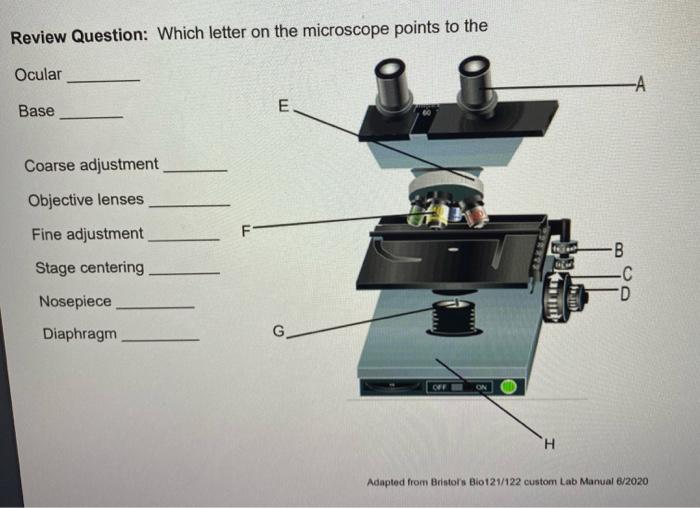 Solved Review Question: Which letter on the microscope | Chegg.com