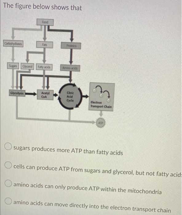 Solved In a neutral solution (pH = 7) the concentration of | Chegg.com