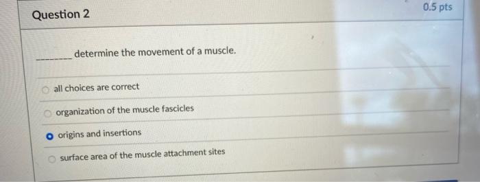 Solved The consists of multipennate fascicle arrangement. | Chegg.com