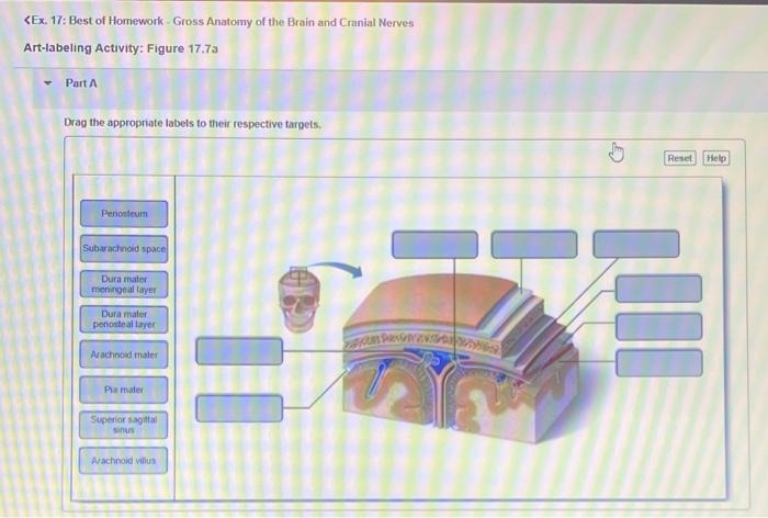 Solved Question | Chegg.com