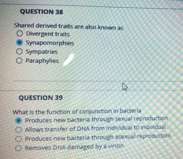 Solved QUESTION 38 Shared derived traits are also known as O | Chegg.com