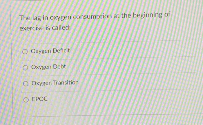 Solved The lag in oxygen consumption at the beginning of | Chegg.com