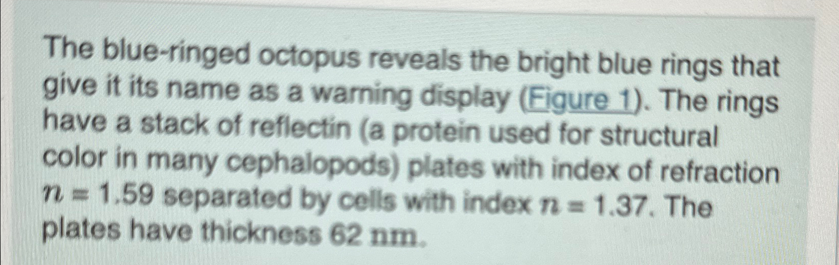 Solved The blue-ringed octopus reveals the bright blue rings | Chegg.com
