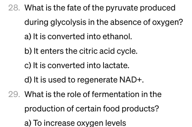 Solved What is the fate of the pyruvate produced during | Chegg.com