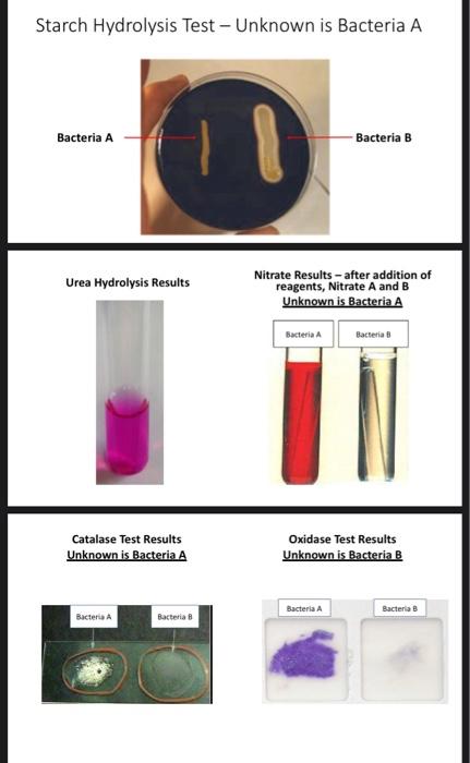 Solved kindly answer all the chart is uploaded as a guide to | Chegg.com
