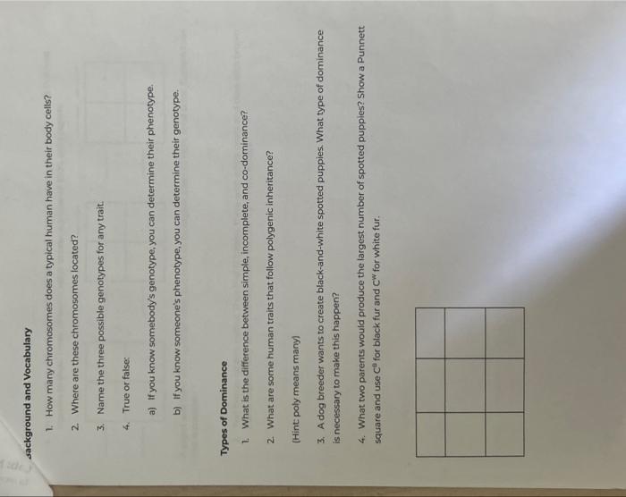 Solved Lab: Mendelian Genetics To receive full credit for | Chegg.com