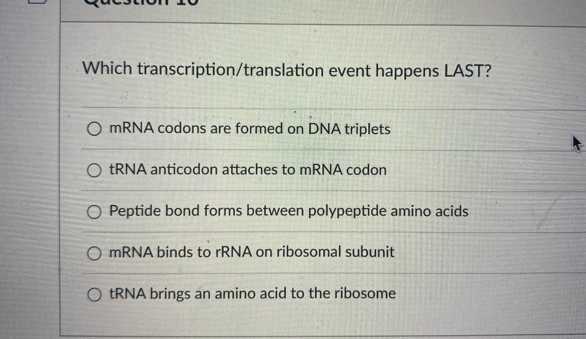 Solved Which transcription/translation event happens | Chegg.com