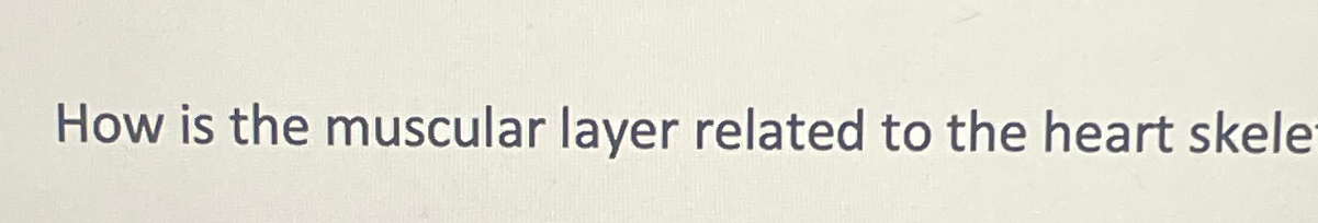 Solved How is the muscular layer related to the heart skele | Chegg.com
