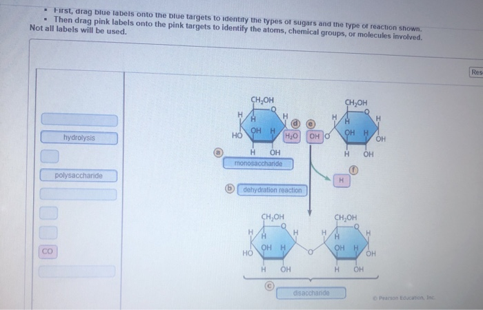 Solved • First, drag blue labels onto the blue targets to | Chegg.com Solved • First, drag blue labels onto the blue targets to | Chegg.com