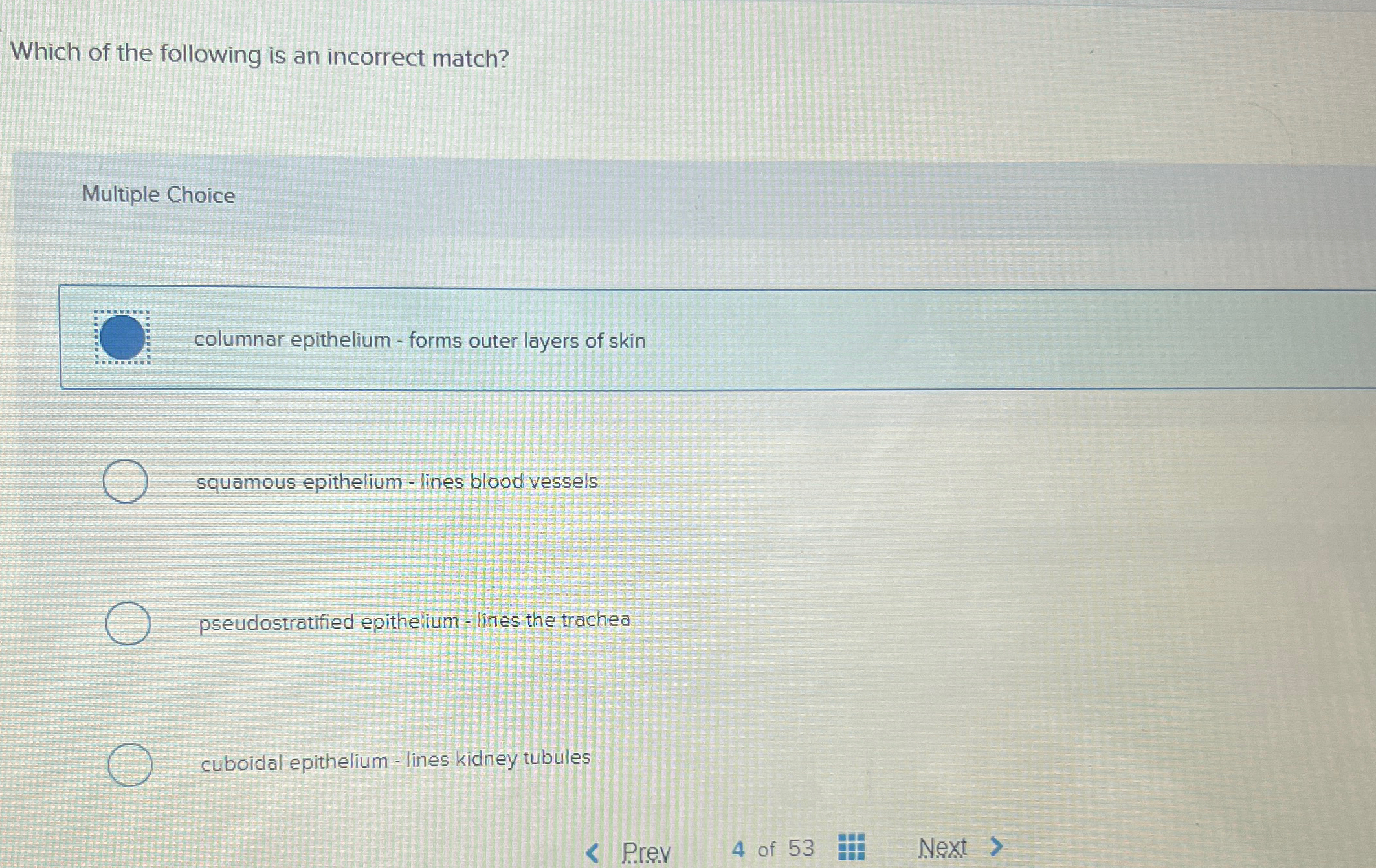 Solved Which of the following is an incorrect match?Multiple | Chegg.com