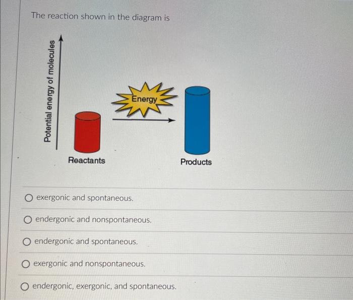 Solved The reaction shown in the diagram is exergonic and | Chegg.com