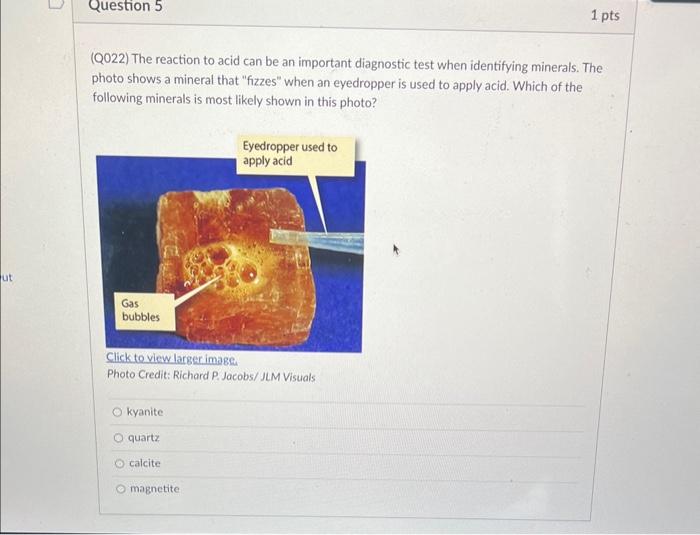 Solved (Q022) The reaction to acid can be an important | Chegg.com