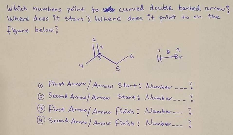 Solved the Which numbers point to the curved double barbed | Chegg.com
