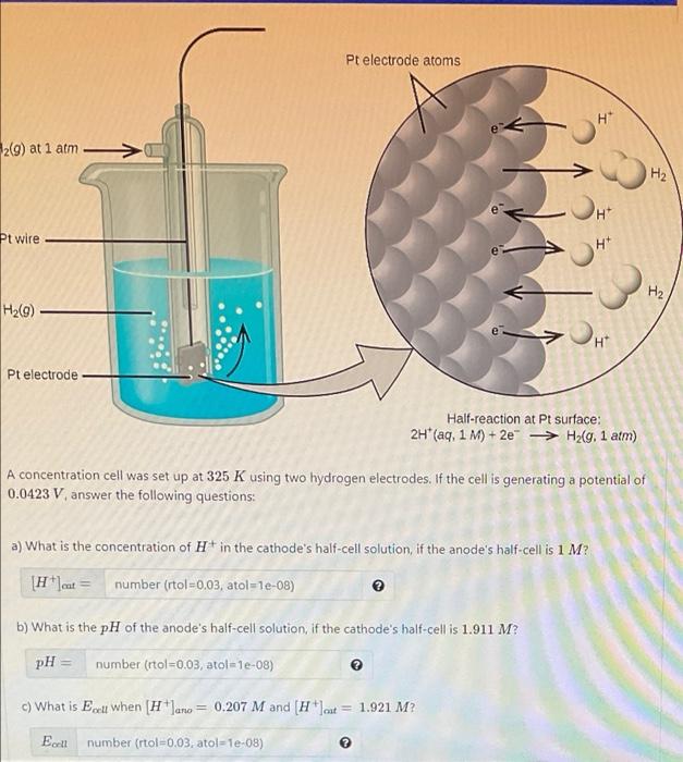 Solved Pt electrode atoms H 2(9) at 1 atm H2 H Pt wire H H2 | Chegg.com