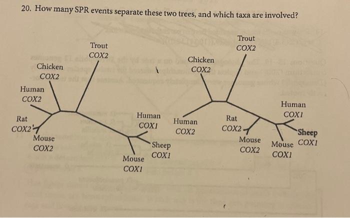 Solved 20. How many SPR events separate these two trees, and | Chegg.com