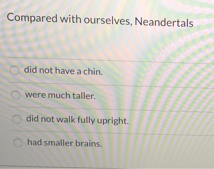 Solved The Levallois technique is first sem in the stone | Chegg.com