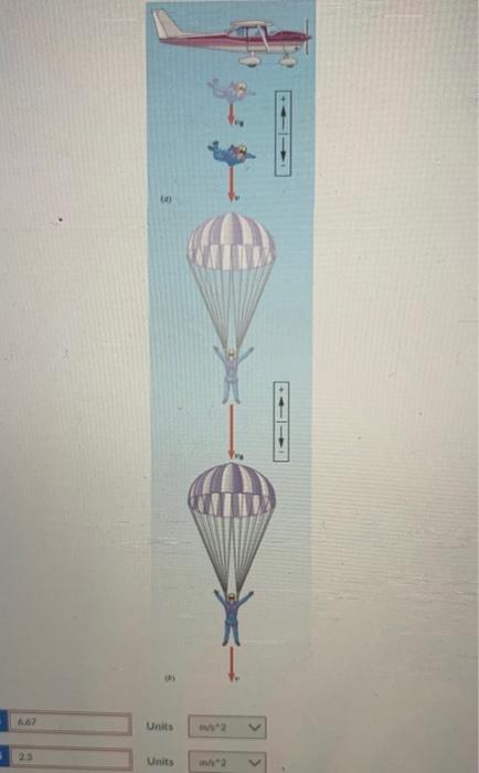 Solved A skydiver is falling straight down, along the | Chegg.com